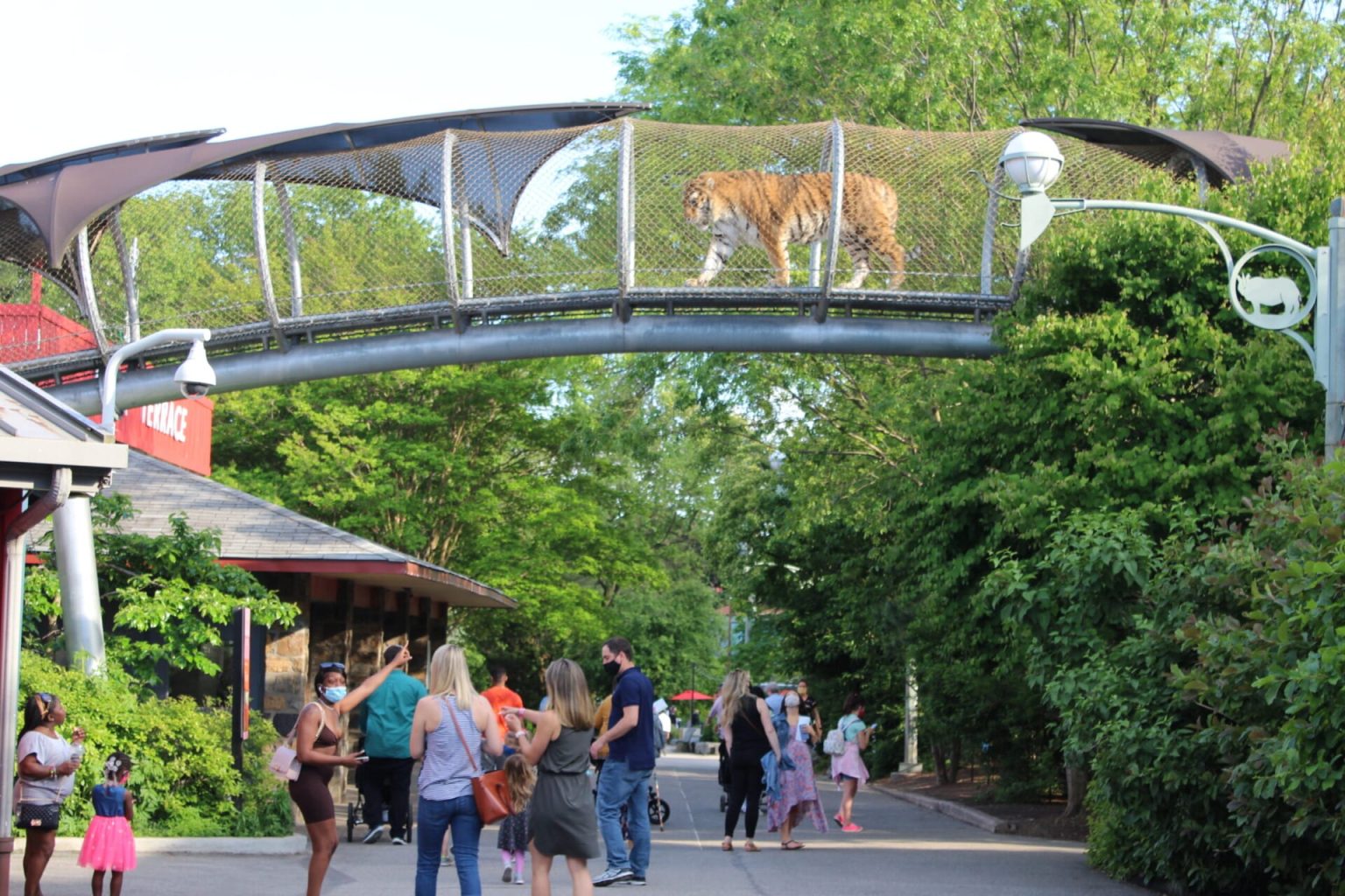 Purim at the Zoo - Philly J